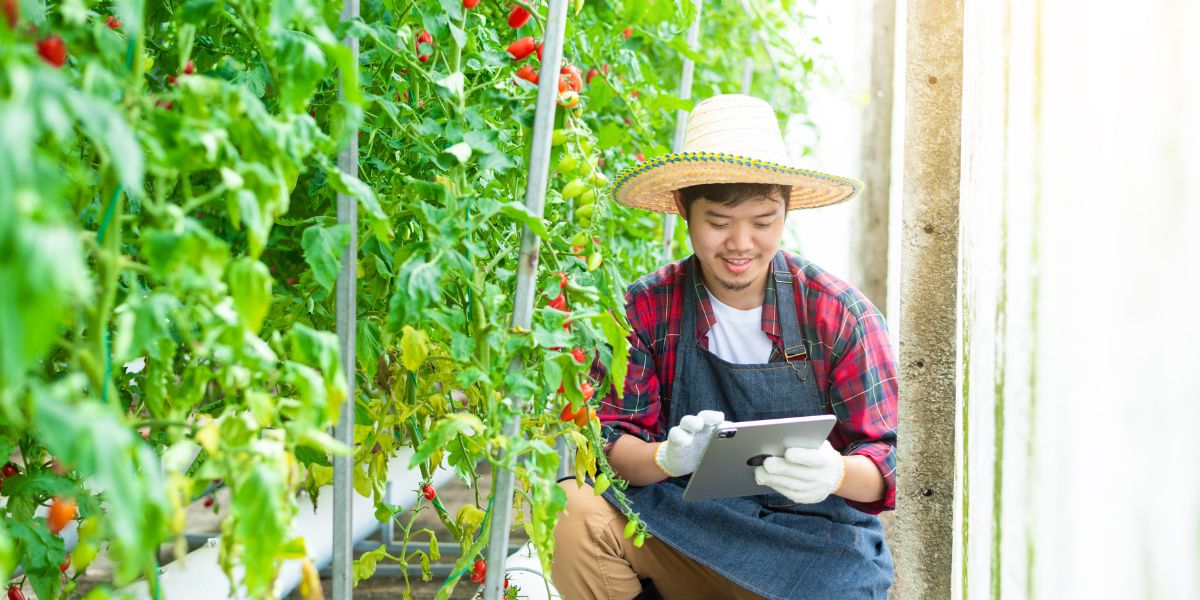 Top 20 Agriculture Business Ideas To Invest In 2025