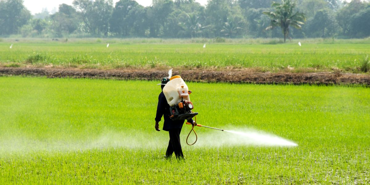 Top 20 Agriculture Business Ideas To Invest In 2025