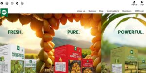 Top 10 Direct Selling Companies in India (2025 Updated List)