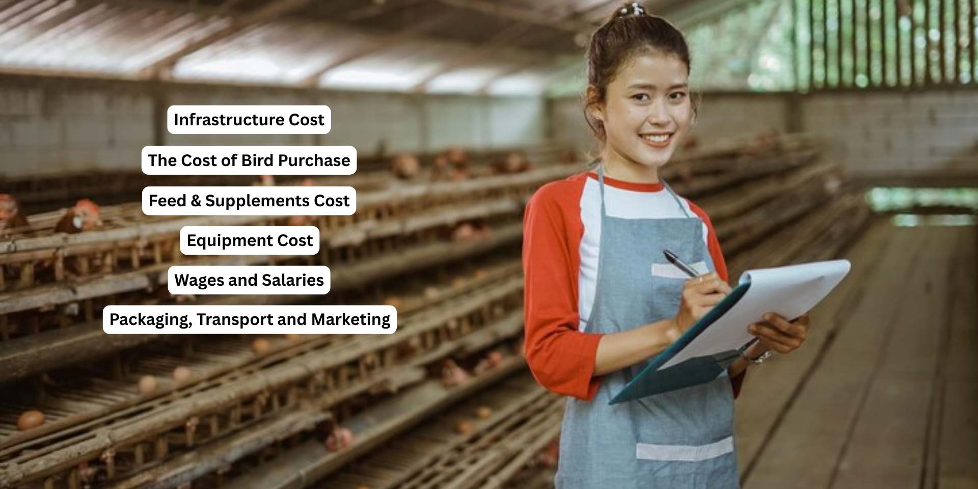 Poultry Farming Business Plan - (2025 Edition) Download Now